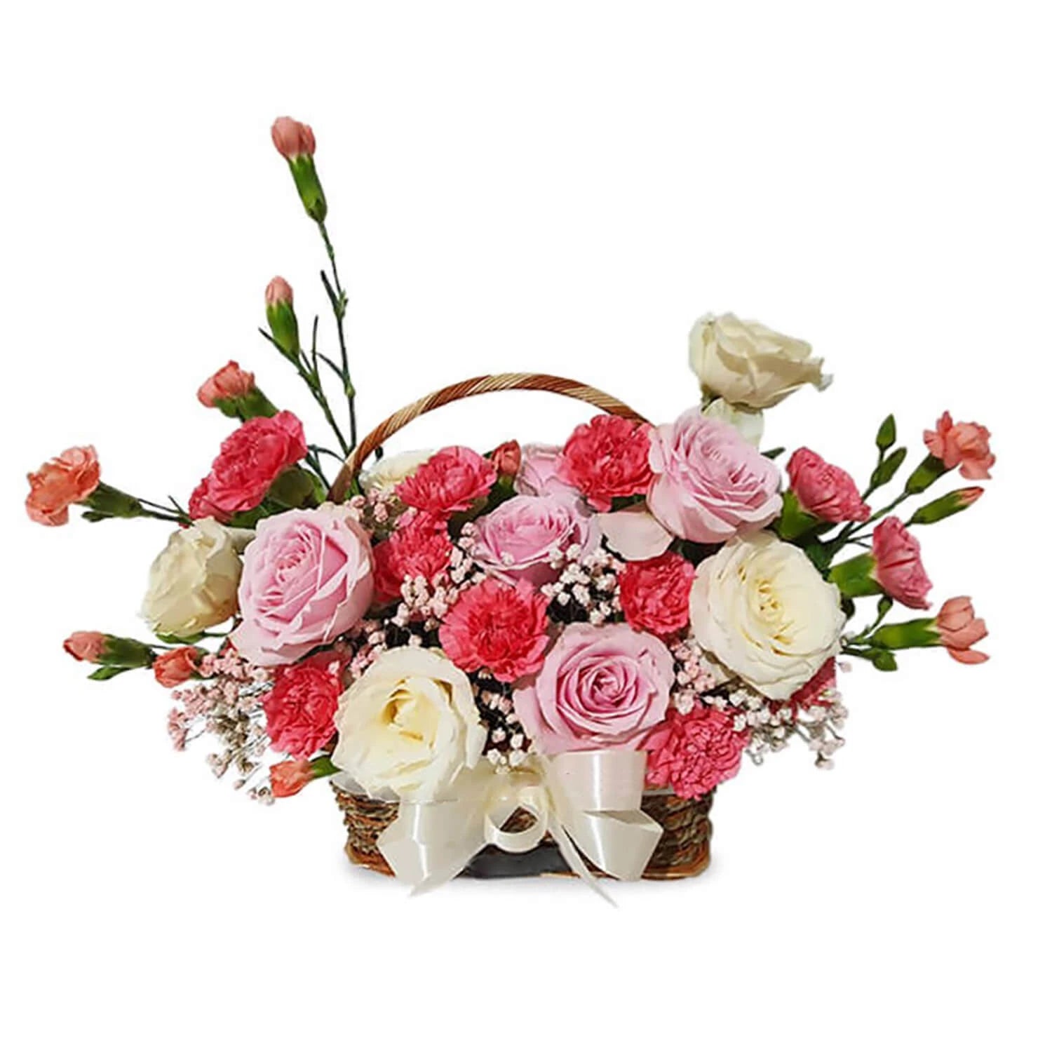 Bunchies - Noel Gifts International Ltd